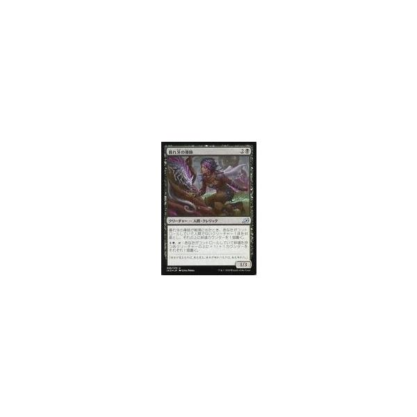 商品名：中古マジックザギャザリング 086/274[U]：【FOIL】暮れ牙の導師/Duskfang Mentorマジックザギャザリング/日本語版FOIL/U/イコリア：巨獣の棲処分類：黒/レア度：U