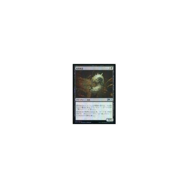 商品名：中古マジックザギャザリング 092/274[U]：【M21】【FOIL】屍肉地虫/Carrion Grubマジックザギャザリング/日本語版FOIL/U/黒/基本セット2021分類：黒/レア度：Uシリーズ：基本セット2021商品解説■...