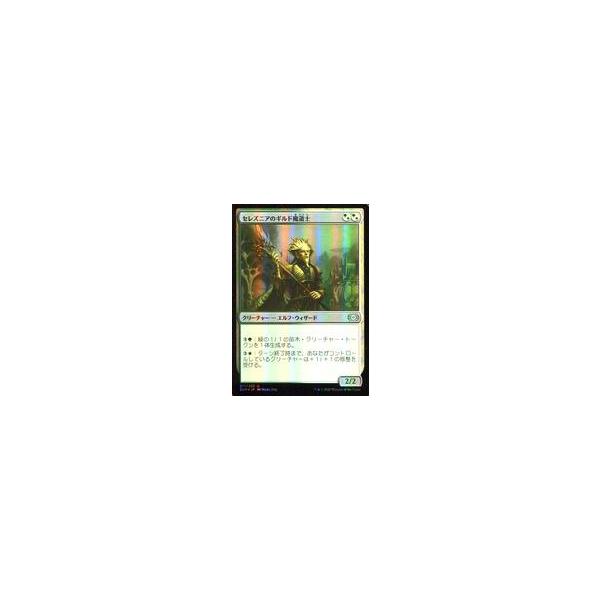 商品名：中古マジックザギャザリング 217/323[U]：【FOIL】セレズニアのギルド魔道士/Selesnya Guildmageマジックザギャザリング/日本語版FOIL/U/ダブルマスターズ分類：ハイブリッド/レア度：U