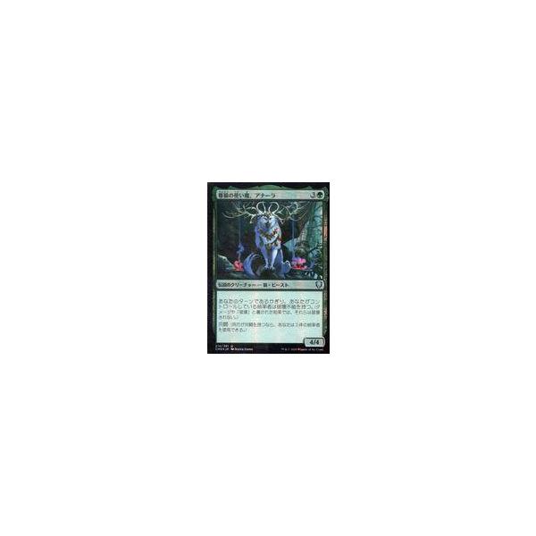商品名：中古マジックザギャザリング 214/361[U]：【FOIL】尊狼の使い魔、アナーラ/Anara， Wolvid Familiarマジックザギャザリング/日本語版FOIL/U/統率者レジェンズ分類：緑/レア度：U