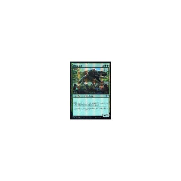 商品名：中古マジックザギャザリング 251/361[U]：【FOIL】鱗ビヒモス/Scaled Behemothマジックザギャザリング/日本語版FOIL/U/統率者レジェンズ分類：緑/レア度：U