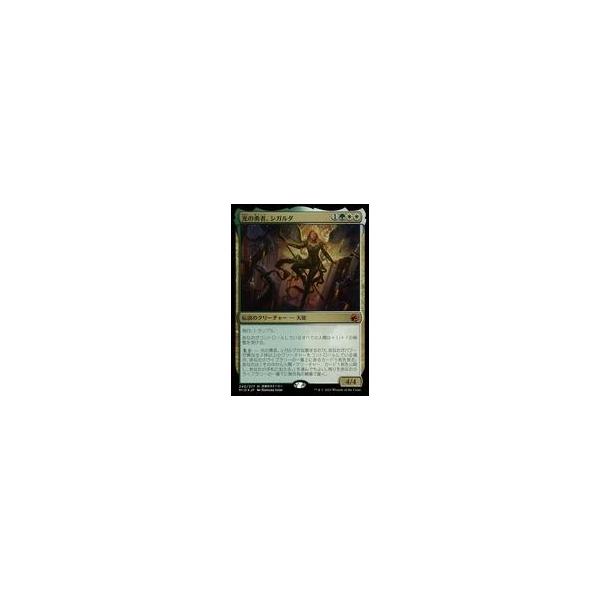 商品名：中古マジックザギャザリング 240/277[神話R]：【MID】【FOIL】光の勇者、シガルダ/Sigarda  Champion of Lightマジックザギャザリング/日本語版FOIL/神話R/マルチカラー/イニストラード：真夜...