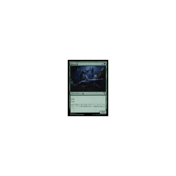 商品名：中古マジックザギャザリング 170/277[C]：【MID】【FOIL】跳ねる狼/Bounding Wolfマジックザギャザリング/日本語版FOIL/C/緑/イニストラード：真夜中の狩り分類：緑/レア度：Cシリーズ：イニストラード：...