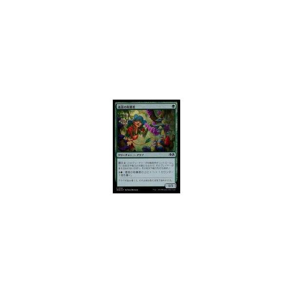 商品名：中古マジックザギャザリング 0192[C]：【WOE】【FOIL】毒茸の称賛者/Toadstool Admirerマジックザギャザリング/日本語版FOIL/C/緑/エルドレインの森分類：緑/レア度：C