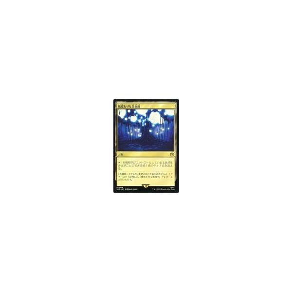 商品名：中古マジックザギャザリング 0276[R]：【WHO】【FOIL】風変わりな果樹園/Exotic Orchardマジックザギャザリング/日本語版FOIL/R/土地/ユニバースビヨンド ドクター・フー コレクター・ブースター分類：土地...