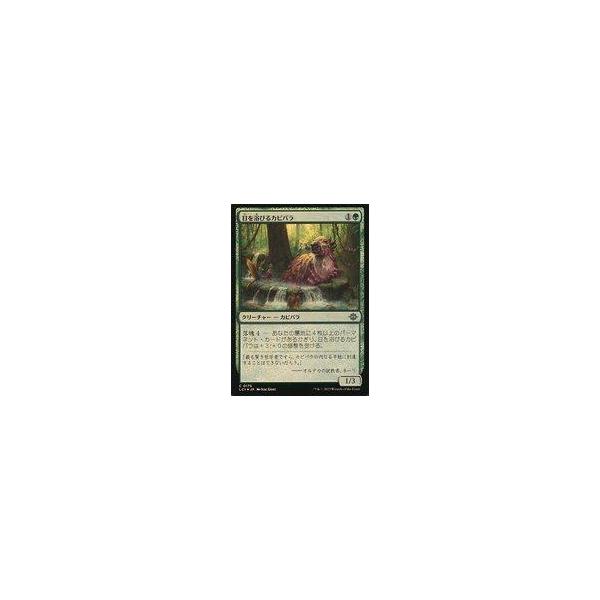 商品名：中古マジックザギャザリング 0175[C]：【LCI】【FOIL】日を浴びるカピバラ/Basking Capybaraマジックザギャザリング/日本語版FOIL/C/緑/イクサラン：失われし洞窟分類：緑/レア度：C