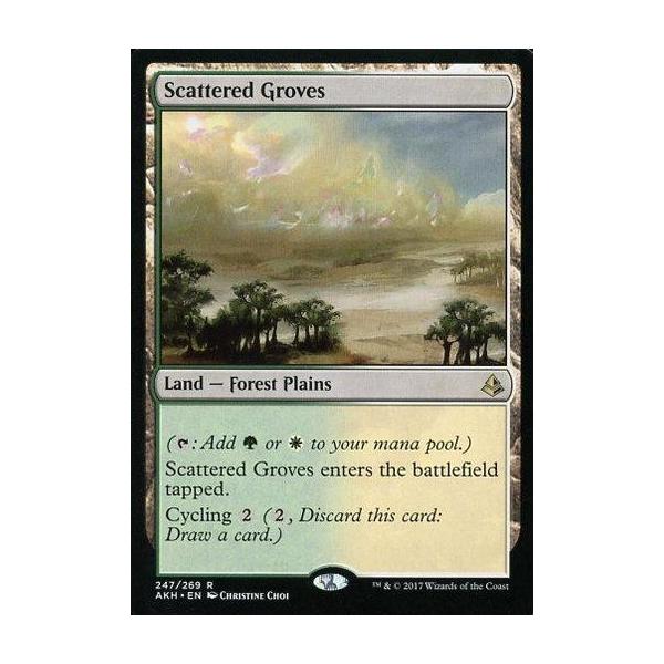 商品名：中古マジックザギャザリング [R]：Scattered Groves/まばらな木立ちマジックザギャザリング/英語版/R/アモンケット/土地分類：土地/レア度：R分類：土地/レア度：R