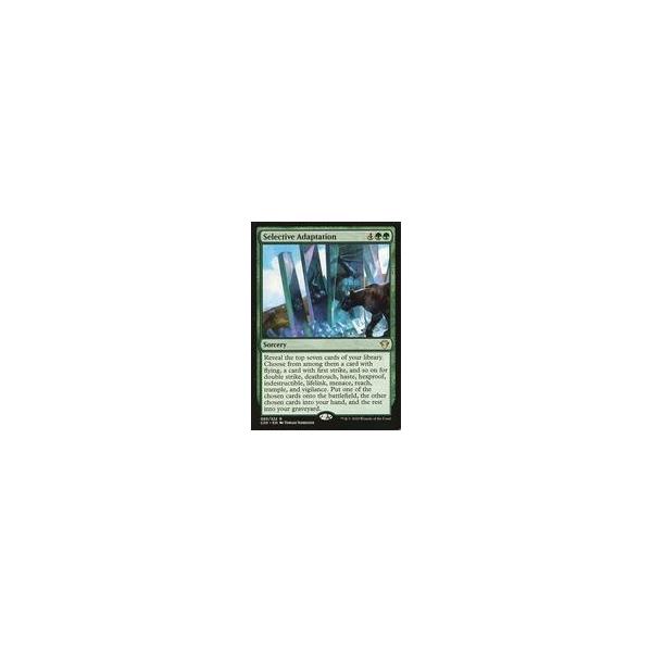 商品名：中古マジックザギャザリング [R]：Selective Adaptation/選択的順応マジックザギャザリング/英語版/R/緑/統率者2020分類：緑/レア度：R