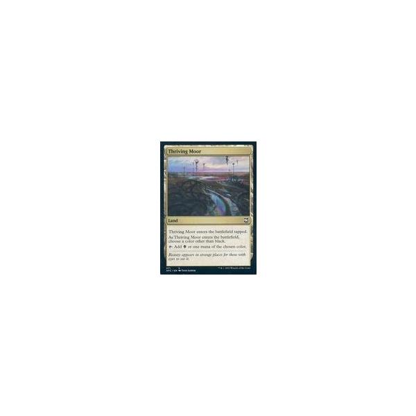 商品名：中古マジックザギャザリング 271[C]：【AFC】Thriving Moor/興隆する湿地帯マジックザギャザリング/英語版/C/土地/フォーゴトン・レルム探訪 統率者デッキ分類：土地/レア度：Cシリーズ：フォーゴトン・レルム探訪 ...