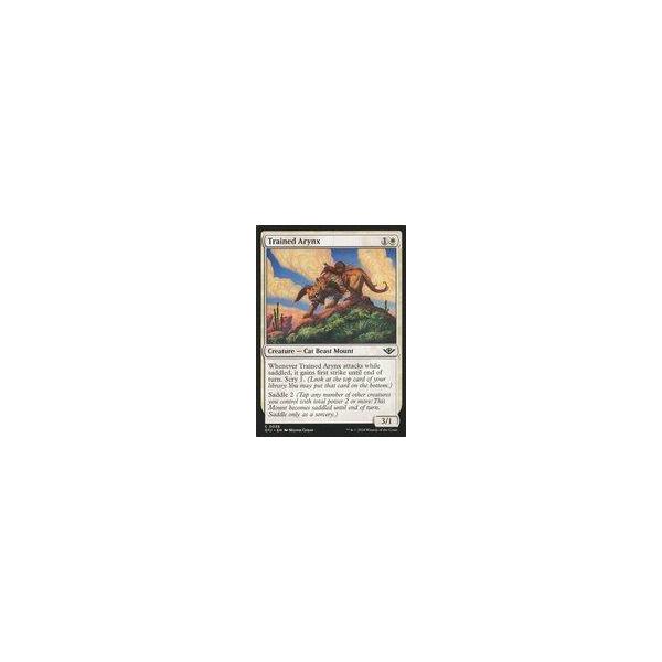 商品名：中古マジックザギャザリング 0036[C]：【OTJ】Trained Arynx/訓練されたエイリンクスマジックザギャザリング/英語版/C/白/サンダー・ジャンクションの無法者分類：白/レア度：Cシリーズ：サンダー・ジャンクションの...