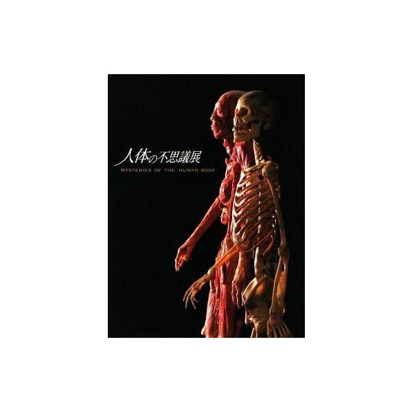 商品名：中古パンフレット ≪パンフレット(図録)≫ パンフ）人体の不思議展　MYSTERIES OF THE HUMAN BODY　2004年版2004年に行われたパンフレット。