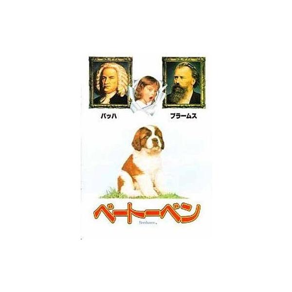 商品名：中古パンフレット ≪パンフレット(洋画)≫ パンフ)ベートーベン監督 ブライアン・レバント/音楽 ランディ・エデルマン
