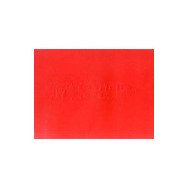 商品名：中古パンフレット(ライブ・コンサート) ≪パンフレット(ライブ)≫ パンフ)MISATO 渡辺美里 1987年ツアーパンフ 1987年に行われた渡辺美里 コンサートツアーパンフレット