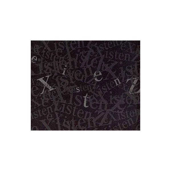 商品名：中古パンフレット ≪パンフレット(洋画)≫ パンフ)eXistenZ イグジステンズ監督 デビッド・クローネンバーグ/音楽 ハワード・ショア