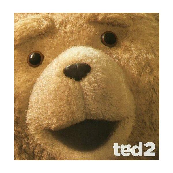 商品名：中古パンフレット ≪パンフレット(洋画)≫ パンフ)ted2監督 セス・マクファーレン/音楽 ウォルター・マーフィー