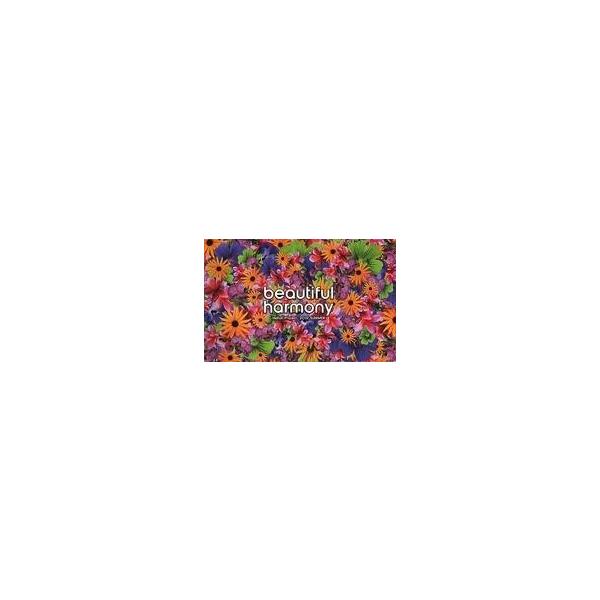商品名：中古パンフレット ≪パンフレット(ライブ)≫ パンフ)beautiful harmony Hello!Project 2019 SUMMER2019年7月13日〜9月1日/全国ツアーパンフレット