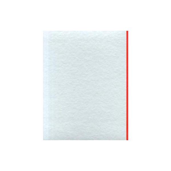 商品名：中古パンフレット(ライブ・コンサート) ≪パンフレット(ライブ)≫ パンフ)FUJII FUMIYA CONCERT TOUR 1997 PURE WHITE VERSION UP1997年12月16日〜31日/全国ツアーパンフレット