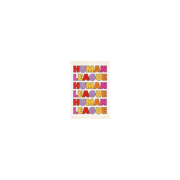 商品名：中古パンフレット ≪パンフレット(ライブ)≫ パンフ)AN UDO ARTISTS PRESENTATION 1987 THE HUMAN League(ヒューマン・リーグ)1987年5月18日〜21日/全国ツアーパンフレット