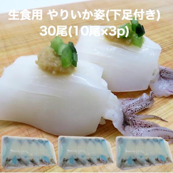 無添加 生食用 ゲソ付き やりいか 姿 30尾(10尾真空×3p) 無添加 やりいか ヤリイカ いかげそ イカゲソ 生食 刺身 新鮮 高鮮度 寿司ネタお寿司屋さんのような高鮮度のやりいかです。鮮度の良い内に添加物を加えず急速冷凍しております...