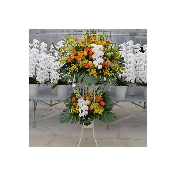 ○スタンド配送エリア　東京都・神奈川県(一部除く)・名古屋市・大阪府・福岡市のみ　※上記エリア以外はお届けできません。　※近隣も対象外となります○スタンド設置・回収致します　【設置】　直接設置にお伺い致します。　【回収】　後日回収にお伺い致...