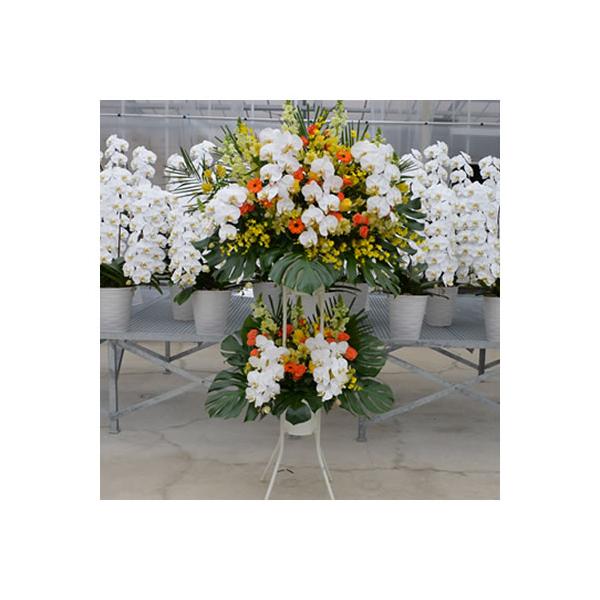 ○スタンド配送エリア　東京都・神奈川県(一部除く)・名古屋市・大阪府・福岡市のみ　※上記エリア以外はお届けできません。　※近隣も対象外となります○スタンド設置・回収致します　【設置】　直接設置にお伺い致します。　【回収】　後日回収にお伺い致...