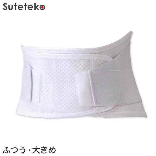 [サイズ]ふつう(適応範囲:70-90cm)大きめ(適応範囲:90-110cm)※採寸の方法は腰部(腰骨の周囲)を測り、目安としてください。[カラー]白[素材・加工]ナイロン/ポリエステル/ポリウレタン/レーヨン/生ゴム固定支持力:中〜強度...