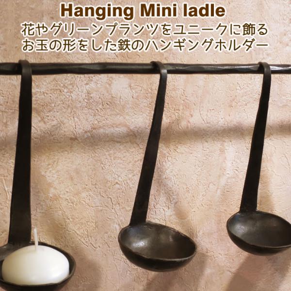 お玉の形をしたアイアンのハンギングラドル。鉄の色味とハンマーワークの質感が植物を引き立てます。エアプランツや多肉植物のトレイ、草花を入れたポットと組み合わせ壁や柱に取り付ければ個性的なインテリアやガーデンを楽しむことができ、お部屋に彩りを与...