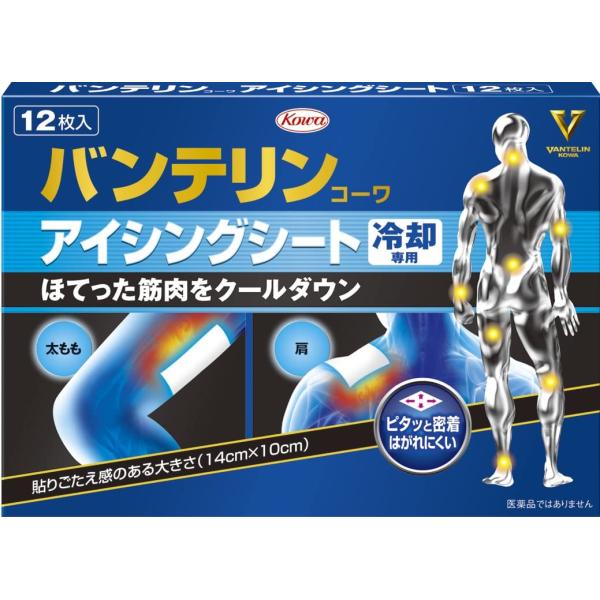 バンテリンアイシングシート 12枚入 ・ほてったカラダをクールダウン、ひんやりさせてリフレッシュ商品紹介しっかり貼り付き冷却できるシートタイプ原材料・成分エタノール、l-メントール、シリカ、TEA、メチルパラベン、香料、精製水、アロエエキス...