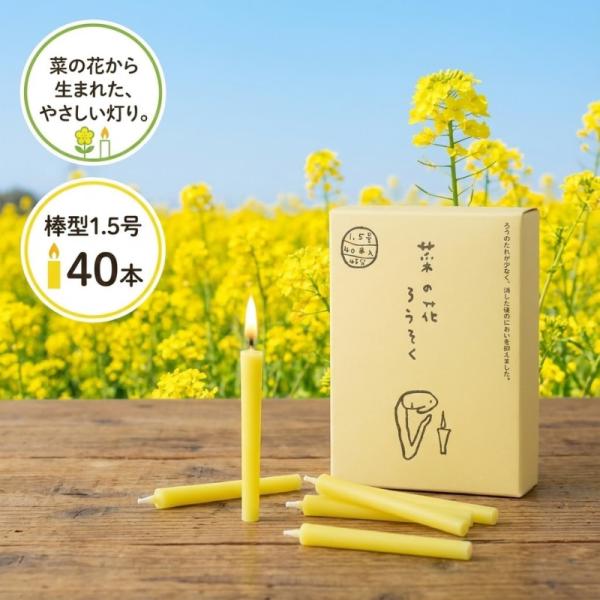 私たちの暮らしに寄り添う、サステナブルな灯り。能登七尾の「高澤ろうそく」より、100%植物性の菜種油でできた「菜の花ろうそく」をご紹介します。和蝋燭は、中が空洞になっている芯にロウが吸い上げられる構造のため、炎が大きく、少し揺らぐのが特徴。...