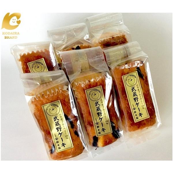 国産ブルーベリー100% パウンドケーキ 【武蔵野ケーキ6個入】小平産の大粒ブルーベリーを使用！ 東京都小平市 コダイラブランド 小平商工会認定・小平市ブルーベリー協議会認定 熨斗対応 化粧箱入 ギフト お中元 お歳暮 帰省土産 手土産 （...