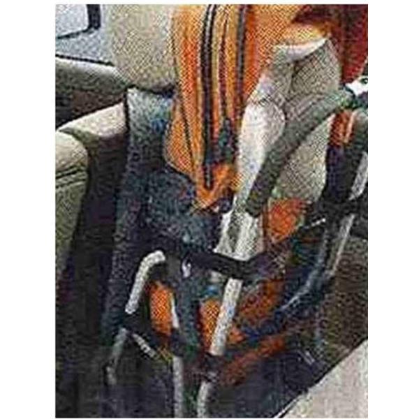 商品ID:cco065車種名：coo品名：ベビーカーホルダー(A・B型共用)取り付けできる年式：平成20年10月〜25年1月型式：M401S M402S M411S 詳細：ベビーカーを固定するホルダーです。ベビーカーを立てて積む際にしっかり...