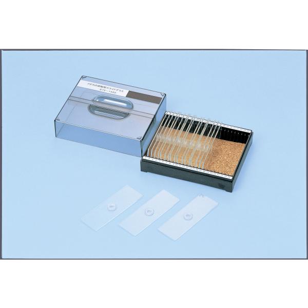 ●スライドガラスの中央にプラスチックリングを固定したもので、リング内に３〜４滴の水とともに卵を入れて顕微鏡で観察します。●30分程度は水が乾燥しないので続けて観察できます。●リングを目印に卵を見つけられるので操作が簡単です。＜仕様＞商品コー...