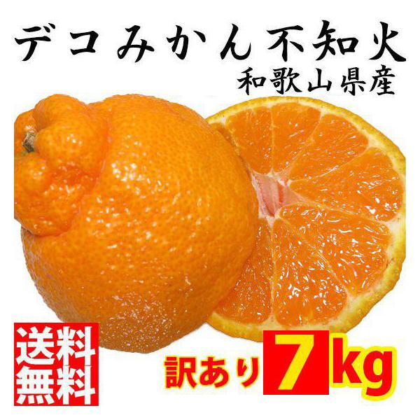 【発売日：2026年02月16日】■コクと甘味の濃厚な味わいが特徴の高級柑橘『不知火』。みかん王国和歌山県からお届けします！！ほどよい酸味と甘みが相性抜群！レジャーのお供にもどうぞ！訳ありは皮の部分だけ！味は抜群！※傷あり・不揃いですのでご...