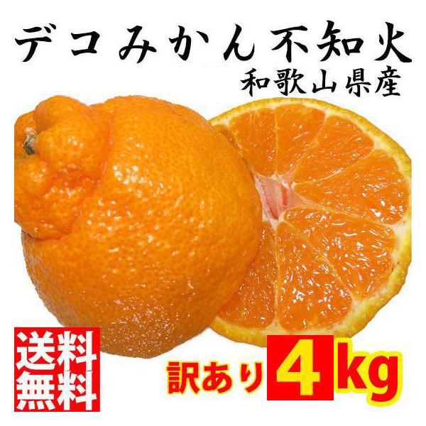 【発売日：2027年02月10日】■コクと甘味の濃厚な味わいが特徴の高級柑橘『不知火』。みかん王国和歌山県からお届けします！！ほどよい酸味と甘みが相性抜群！レジャーのお供にもどうぞ！訳ありは皮の部分だけ！味は抜群！※傷あり・不揃いですのでご...