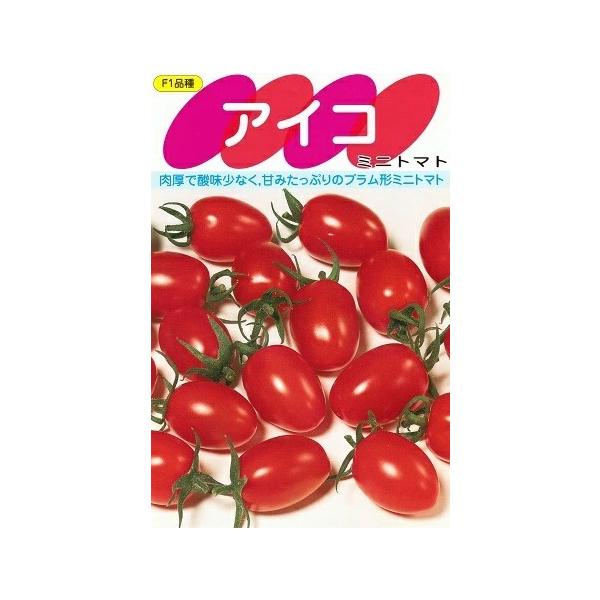 ●萎凋病（F:R-1.2）、ToMV（Tm-2s型)、葉カビ病、斑点病に抵抗性のミニトマト。●草勢はややおとなしく、作りやすい。●裂果の発生が少なく、秀品率が高い、房どりも可能。●果実はプラム形。●肉厚でゼリーが少なく、高糖度、丸玉とは異な...