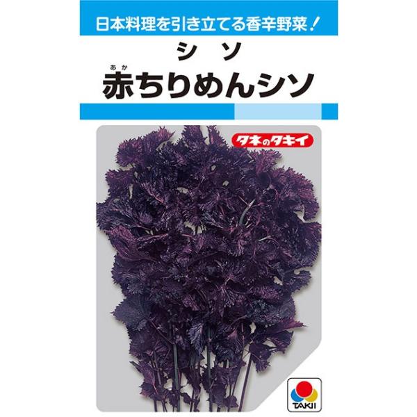 ●日本料理を引き立てる代表的な香辛野菜で、葉は表裏ともに濃赤紫色で縮みが多く、やわらかい。●耐暑性が強く、土質を選ばず生育旺盛。●草丈は70cm程度にも伸びて多収できる。●梅干しの色付けのほかに、穂ジソ、芽ジソとして、刺身や天ぷらなどの添え...