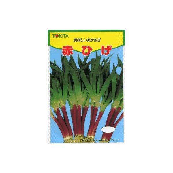●独特の風味と軟らかさがあり、5、6本に分げつする赤ねぎ。●草丈はやや低く、土寄せと低温が軟白部を鮮かな赤紫色にする。●すき焼き、煮物、生食（サラダ・薬味）などで美味しい。●葉先から葉身まで全体が軟らかく甘みがありおいしい。●3-4月まき、...