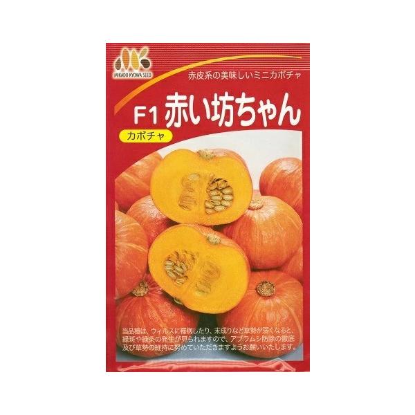 ●赤皮のミニ系整産品種で、果肉は鮮やかなオレンジ色。 ●坊ちゃんより葉が大きく、 雌花着生の安定した品種。 ●ウイルス病に罹病した場合や草勢が弱くなると果皮に緑斑が残ることがあるので十分注意する。