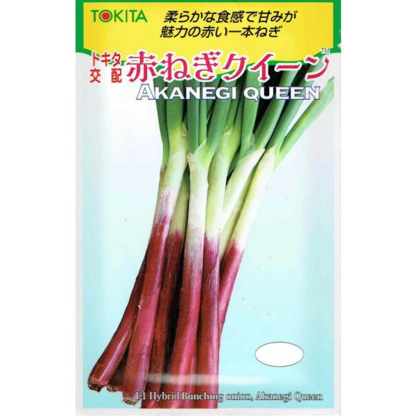 ●斉一性に優れ、葉鞘が鮮紅色に良く揃う。●葉質が柔らかい。●加熱調理で独特の食感と甘味を発揮し食味良好。●分けつが少なく、ほとんどが1本でても2本までが大半。＜栽培上の注意＞●生育中の気象・土壌条件の影響で、2本程度の分けつが発生する場合が...