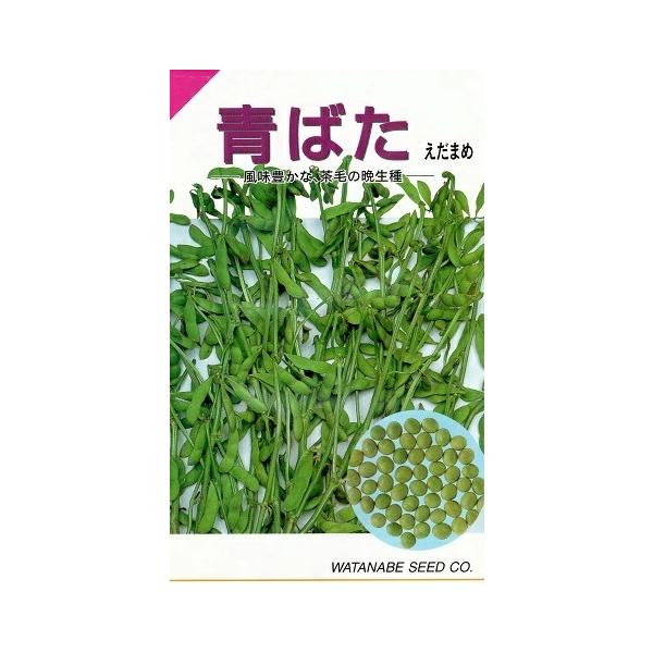 ●晩生種で、莢は1粒莢の少ない茶毛の大莢多収種です。●種実は、扁円の大粒種で、甘みは強く独特の芳香を有し、枝豆としてはもちろん、完熟種子のゆで豆としても抜群の食味を持ちます。●また、種皮色が緑色なので、きな粉用としても好適です。●草姿は開帳...