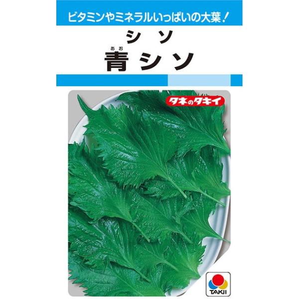 ●ビタミンやカルシウム、鉄分などのミネラル補給に適した香辛野菜。●葉の縮みはごく少なく、丸みのある大葉で、切れ込みは浅い。●香りが高く、刺身の添え物や天ぷらなど重宝。●穂ジソ、シソ実用としても使用できる。●生育旺盛で耐暑性があり、土質を選ば...