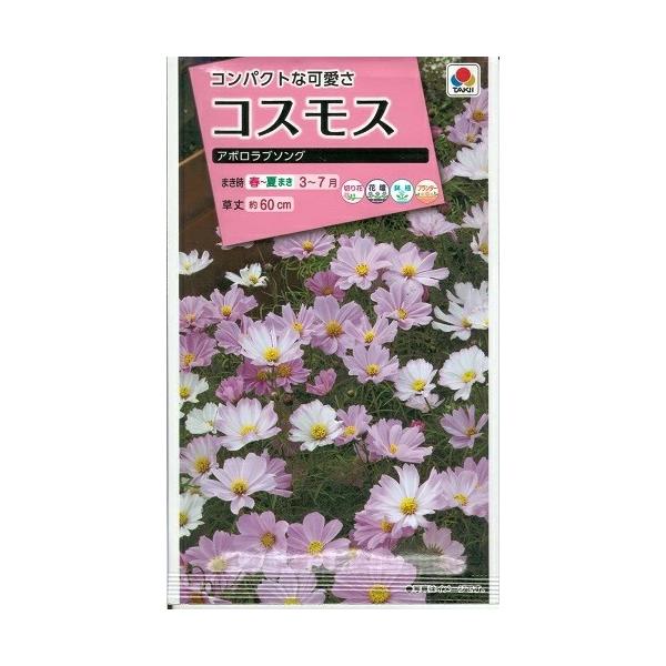 ●棚から簡単に育てられるかわいいコスモスです。●草丈は60cm前後で良く揃います。●白、ピンクの濃淡が花壇を彩ります。