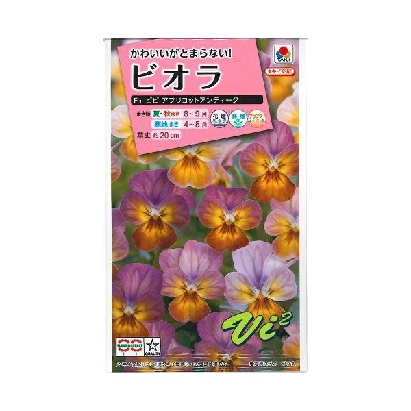 ●生育旺盛で花付き抜群。●冬咲き性に優れ、咲き出したら止まりません。●丈夫で育てやすく、高い人気を誇るシリ−ズです。●アプリコット色のグラデーションを楽しめる品種です。