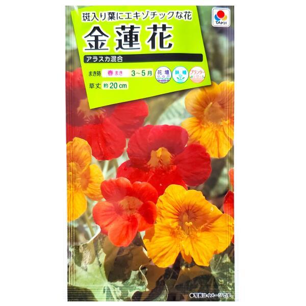 ●花も葉も楽しめるナスタチュ-ムです。●美しい斑入り葉と鮮やかな花色とが見事に調和した混合種です。●花は葉の下に隠れず、草姿もコンパクトにまとまる極早生の矮性種です。
