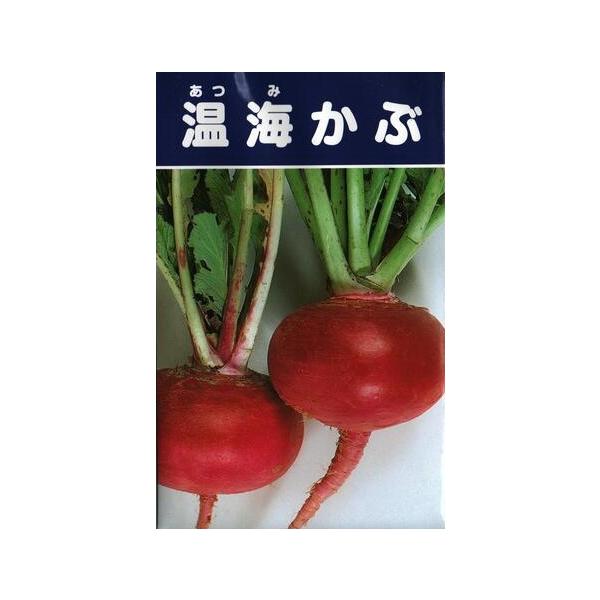 ●原産は中央アジア、シルクロードを経て日本に伝わったと言われ、330年の歴史がある。●現在も伝統的な焼き畑農法が続けられている。●天明5年（1785年）に徳川幕府に献上したとの記録が残されている。●根部外皮は暗紫色、内部は白色、皮は薄く、肉...