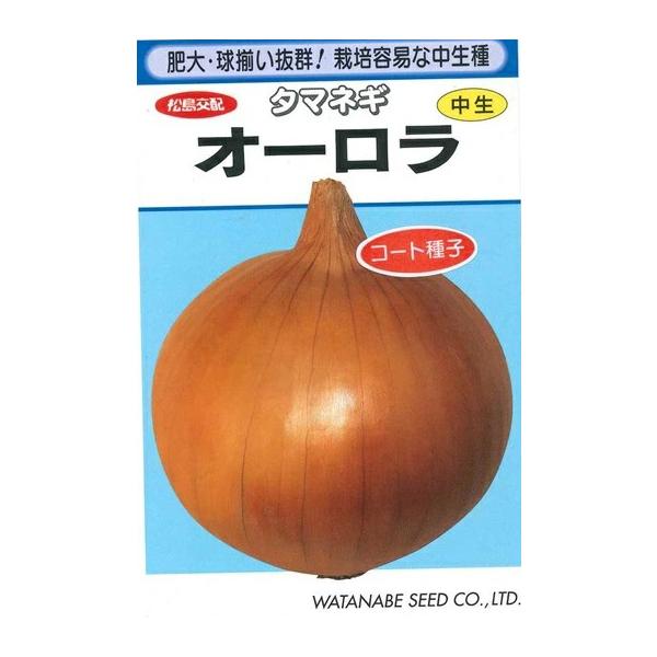●肥大性に優れた秋まき用の中生種で、梅雨本番前に収穫でき、栽培がしやすい品種です。●一球350ｇ位の豊円黄大球で、揃い良く極多収です。●草姿は立性で、球首締まり良好です。●吊り下げ貯蔵での中〜長期の貯蔵が可能です。●東北等の春まき栽培にもお...