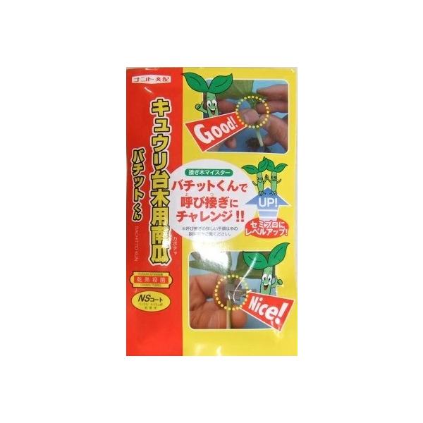 ●胚軸が太く、接木作業が容易です。●草勢が強く、耐暑性、耐寒性に優れ、つる割れ病に強いキュウリ台木用南瓜です。