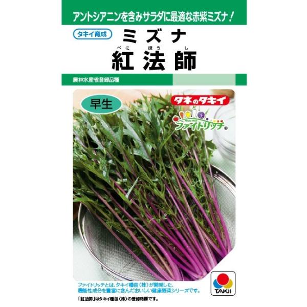 ●葉柄が赤紫色に色づき、緑の葉とのコントラストが美しくサラダ素材に最適。●漬物やおひたしはもちろん、湯通し程度の加熱調理なら色抜けも少なく料理の幅が広い。●着色は初期から安定して、ベビーリーフから青果規格まで幅広い出荷が可能。