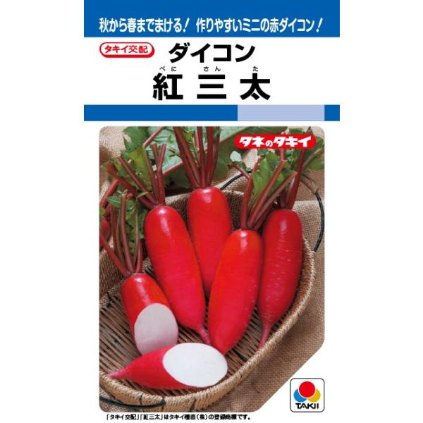 ●家庭菜園や直売所出荷向きに播種期幅が広く、作りやすさとおいしさを兼ね備えたミニの赤ダイコン。●標準的な根径は5cmで根長は15cm（約300g）。●抽苔性も比較的安定しているため、秋冬どり〜春、初夏どり栽培に適する。●草姿がコンパクトなた...