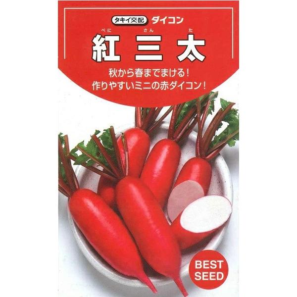 ●家庭菜園や直売所出荷向きに播種期幅が広く、作りやすさとおいしさを兼ね備えたミニの赤ダイコン。●標準的な根径は5cmで根長は15cm（約300g）。●抽苔性も比較的安定しているため、秋冬どり〜春、初夏どり栽培に適する。●草姿がコンパクトなた...